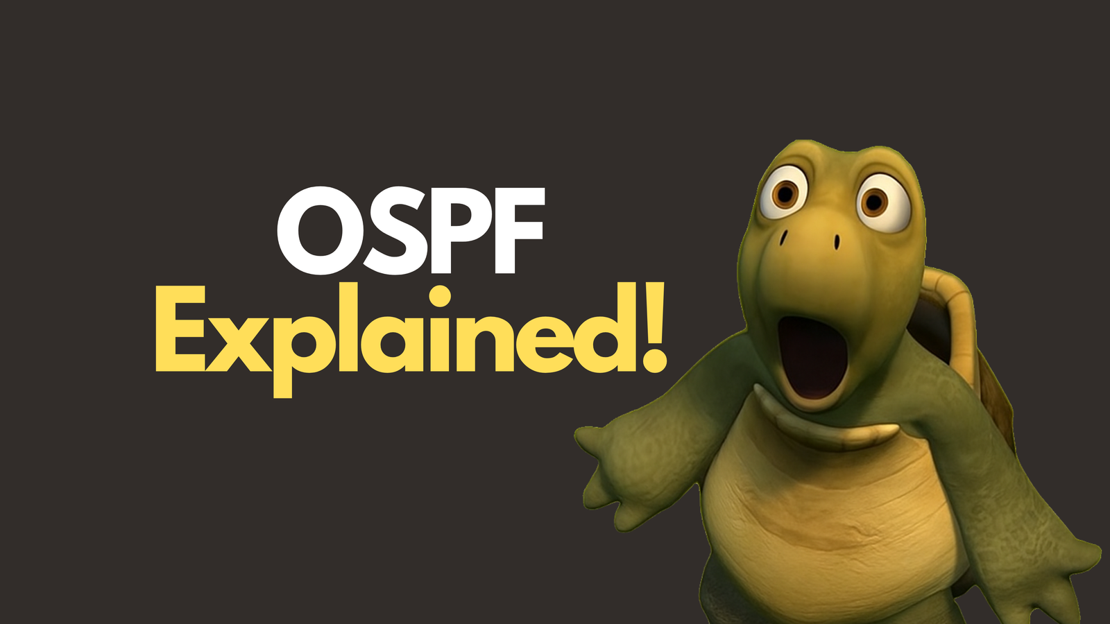 Ospf Routing Protocol Explained The Complete Beginners Guide To Open 2555